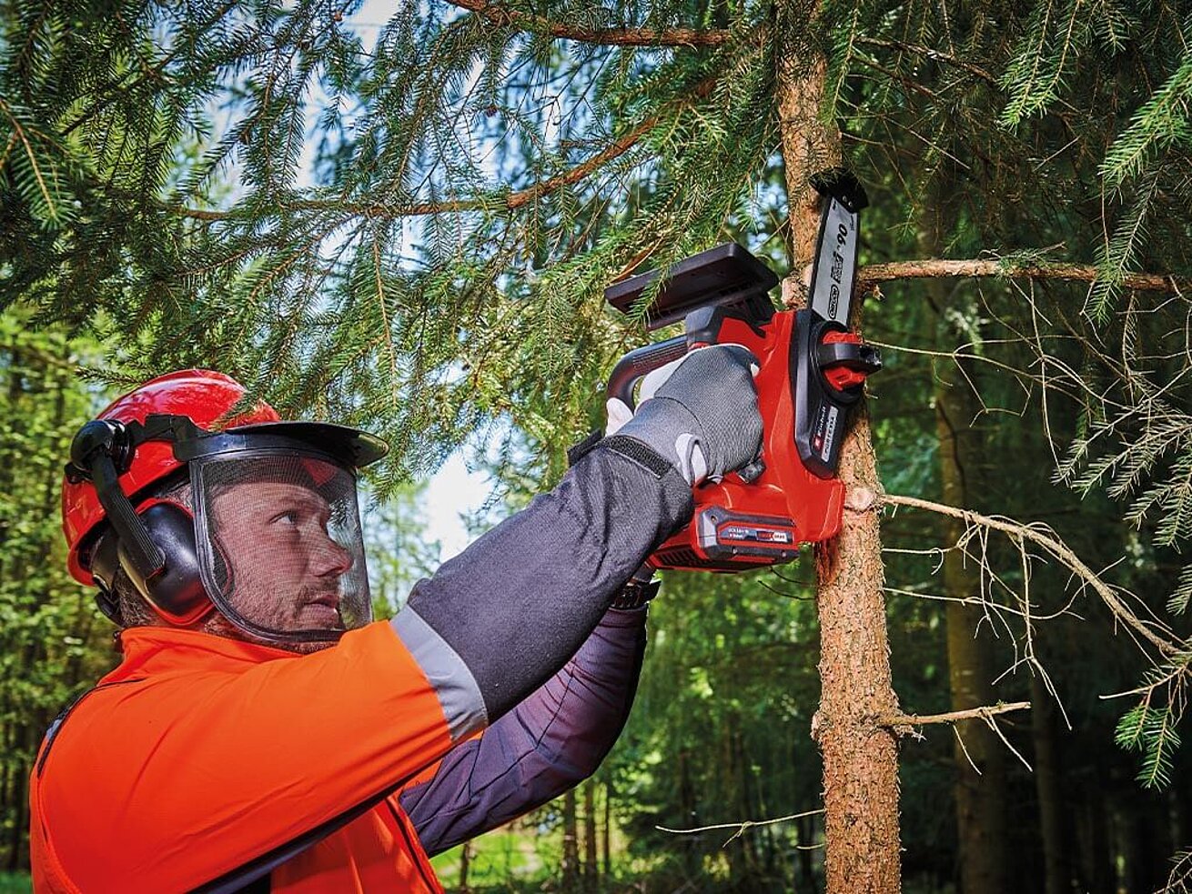 Comparison of cordless and single-handed chainsaws | Einhell Blog